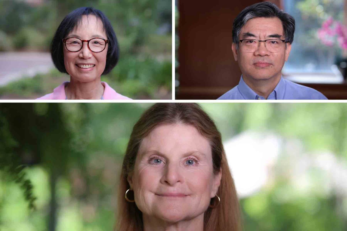 Dr. Banghao Chen wins the FSU Distinguished University Scholar Award ...