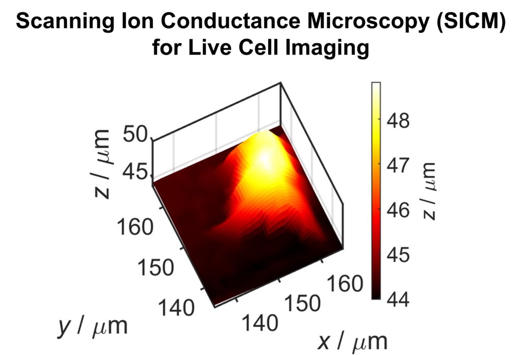 Research – Lazenby Laboratory