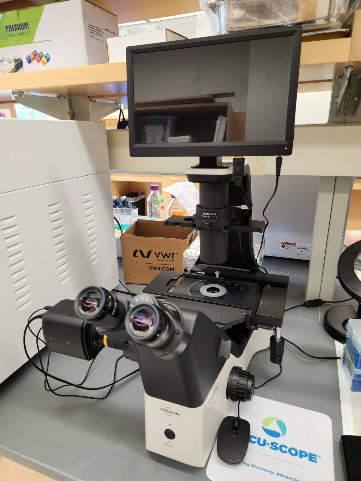 Photos – Lazenby Laboratory