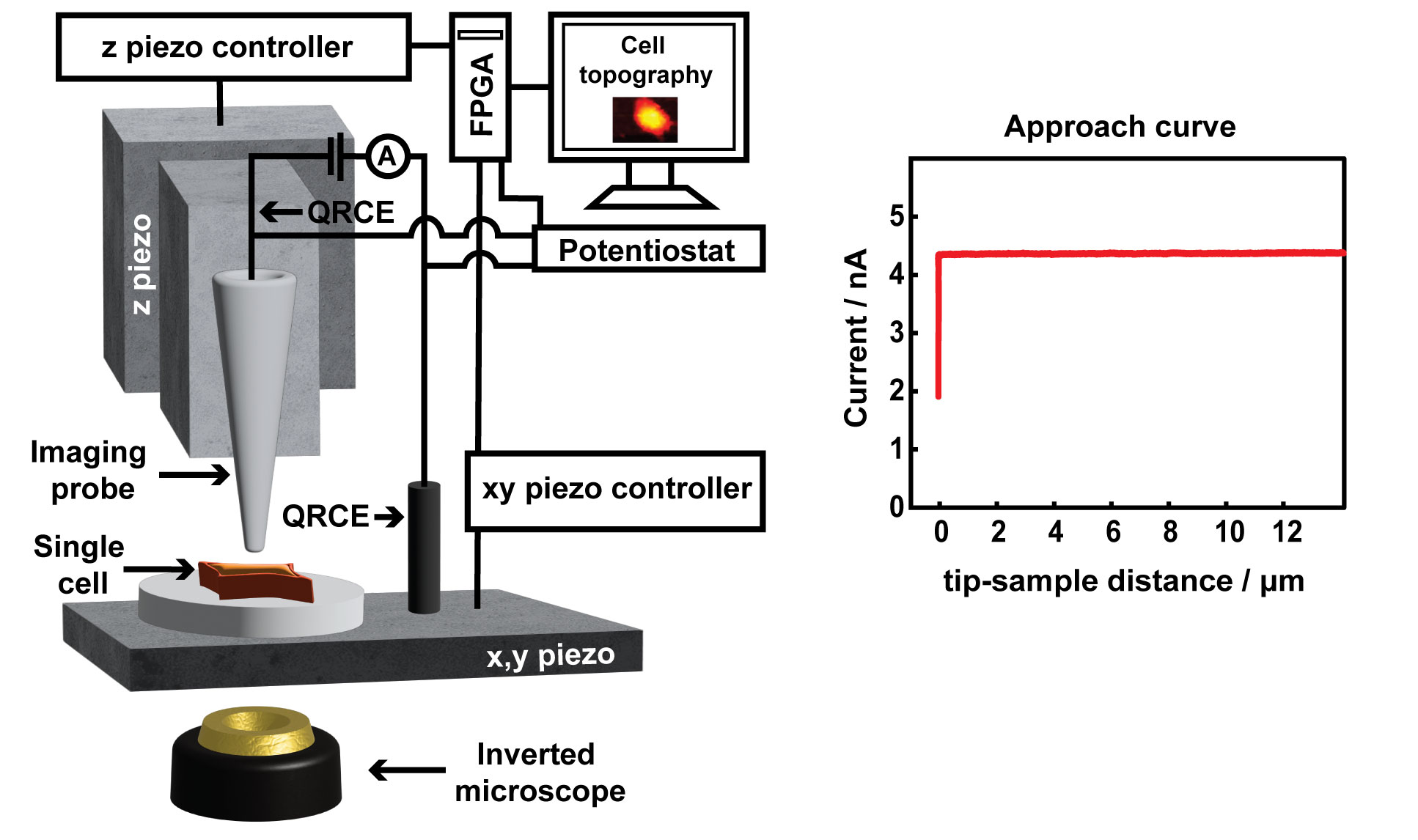 Research – Lazenby Laboratory