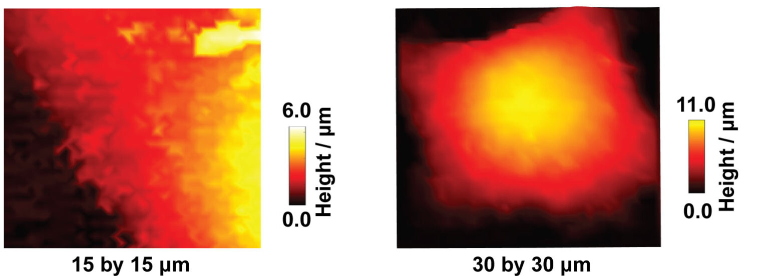 Research – Lazenby Laboratory